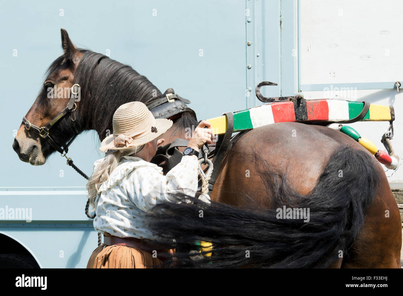 Horse narrow boat hi-res stock photography and images - Alamy