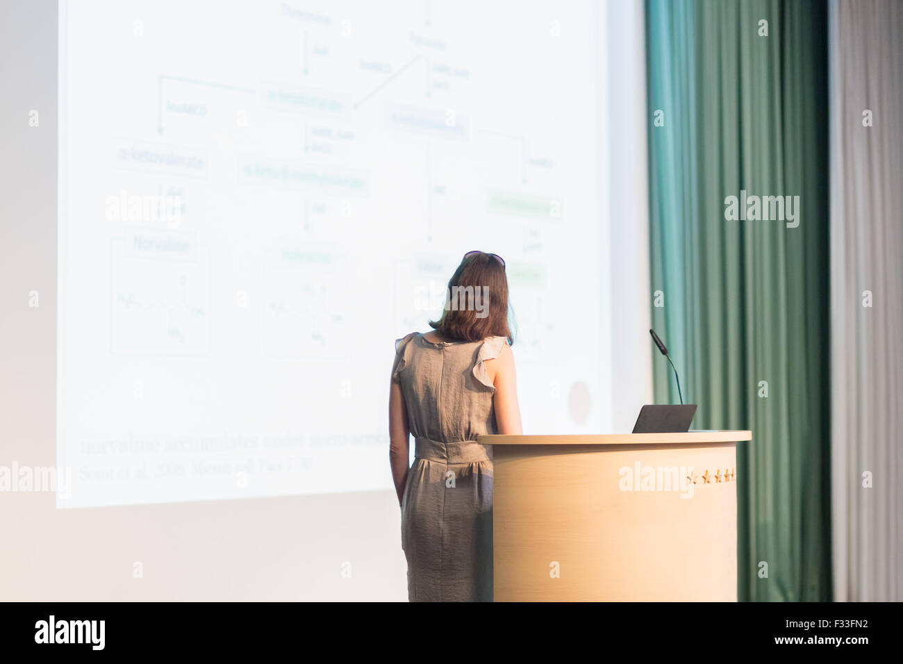 Business woman making business presentation Stock Photo - Alamy