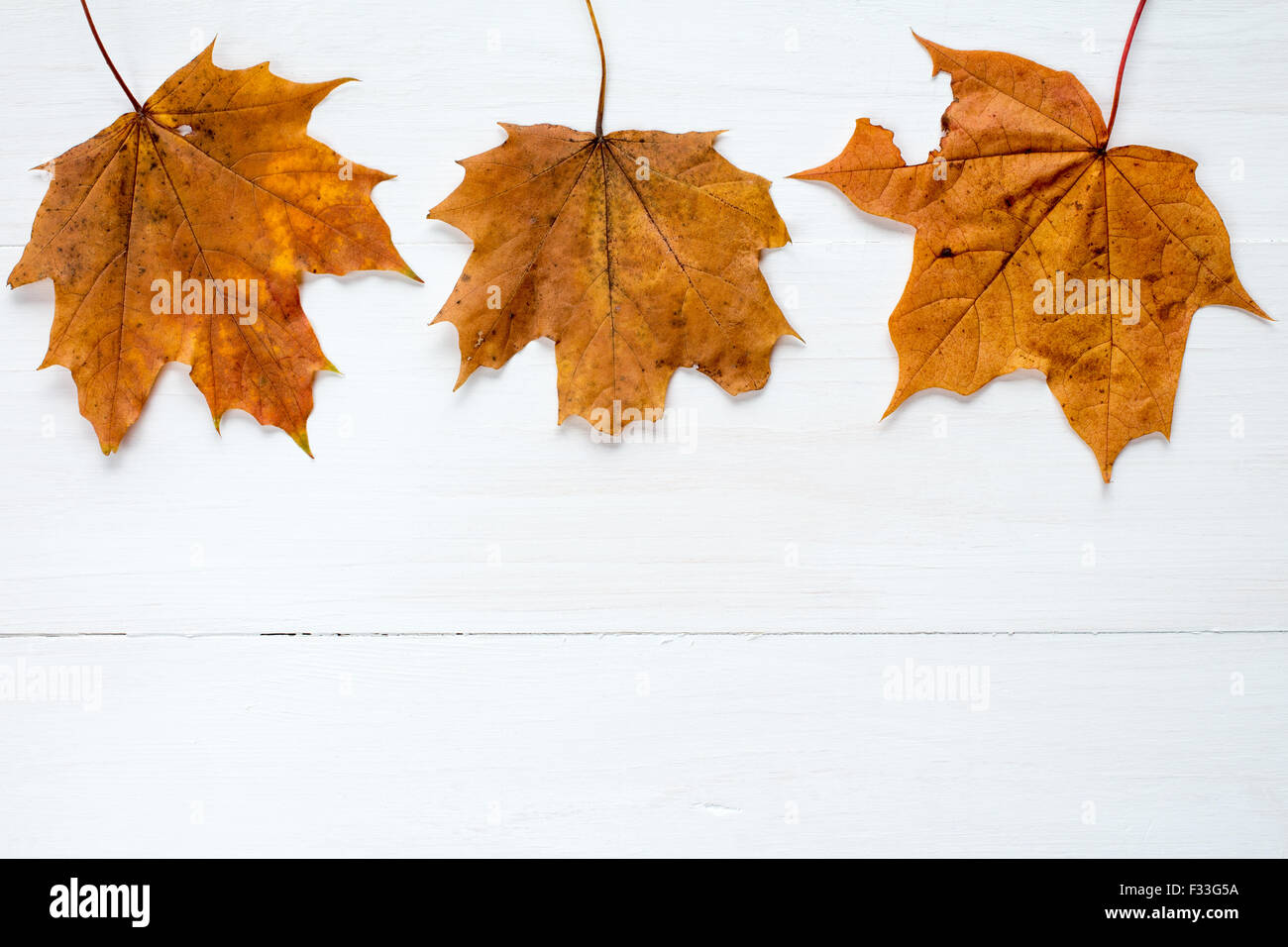 Rusty leaves over wooden background with copy space/ Autumn leaves ...