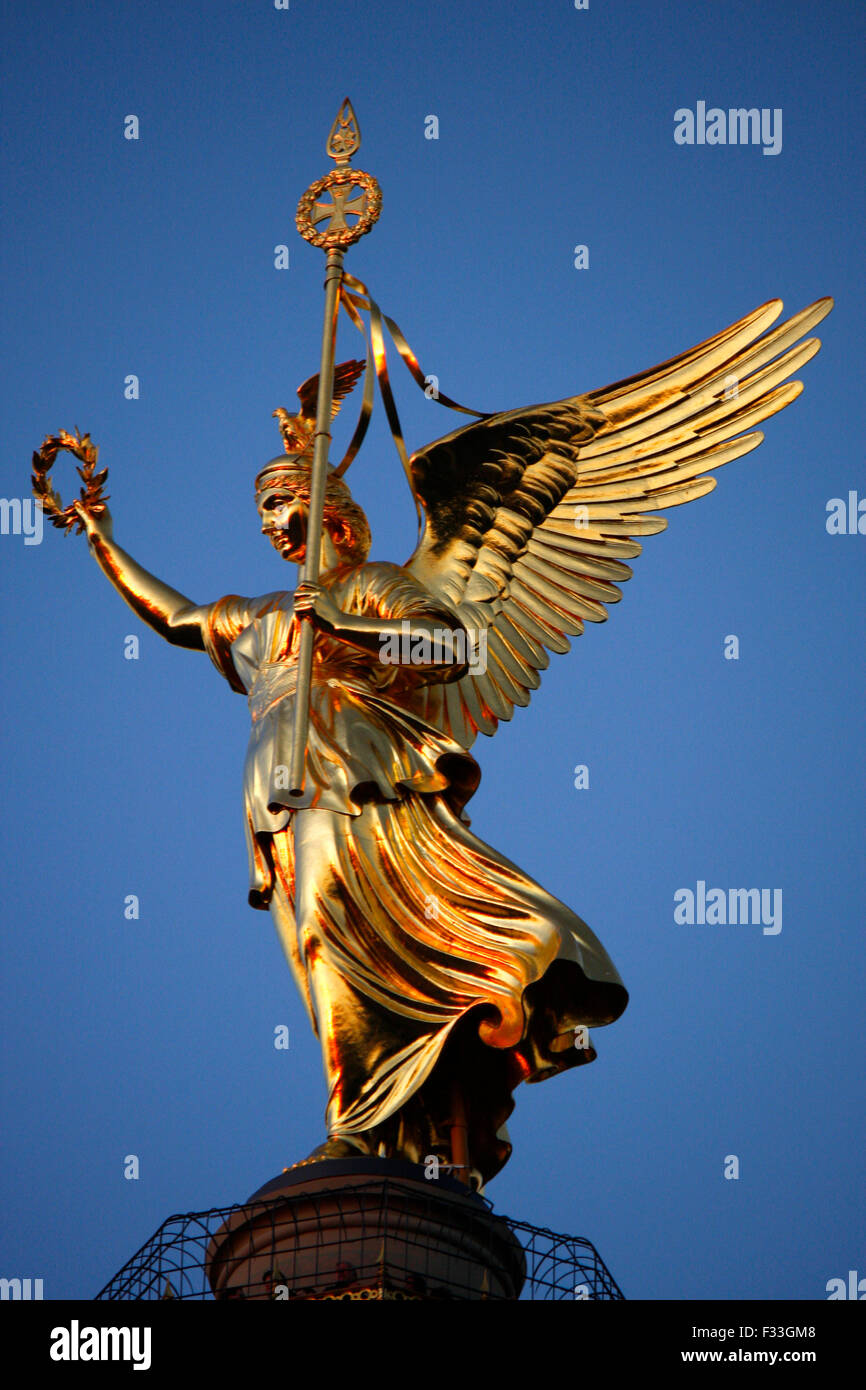 Goldelse hi-res stock photography and images - Alamy