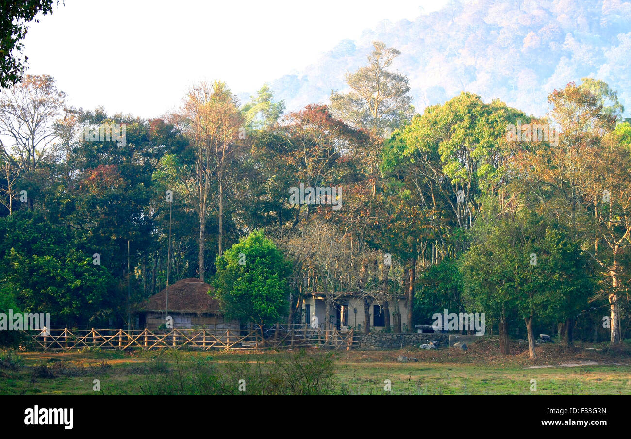 Periyar Tiger Reserve Stock Photo - Alamy