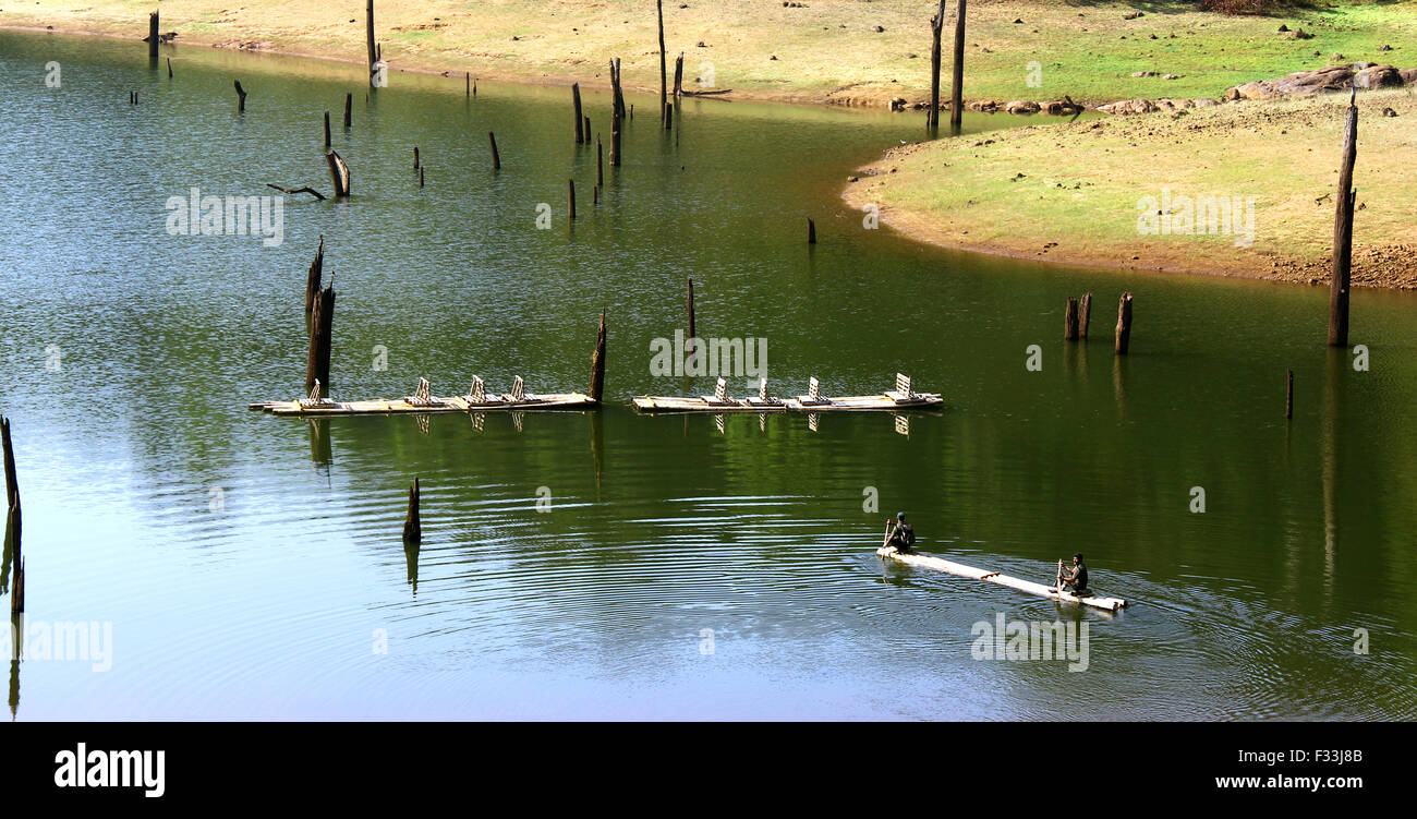 Periyar Tiger Reserve Stock Photo - Alamy