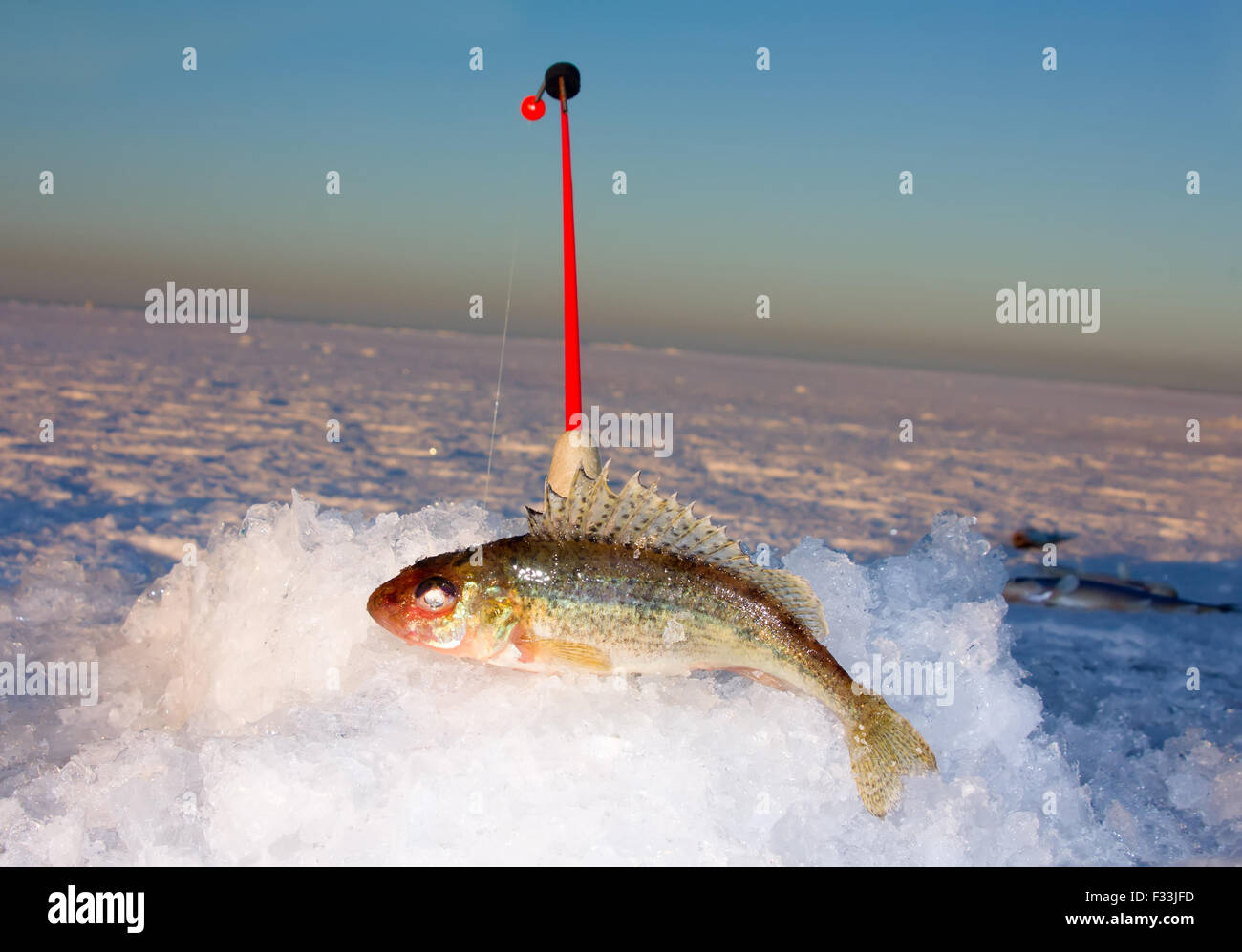 Tool winter fishing hi-res stock photography and images - Alamy