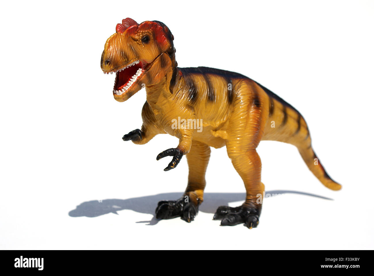 Tyrannosaurus model Cut Out Stock Images & Pictures - Alamy