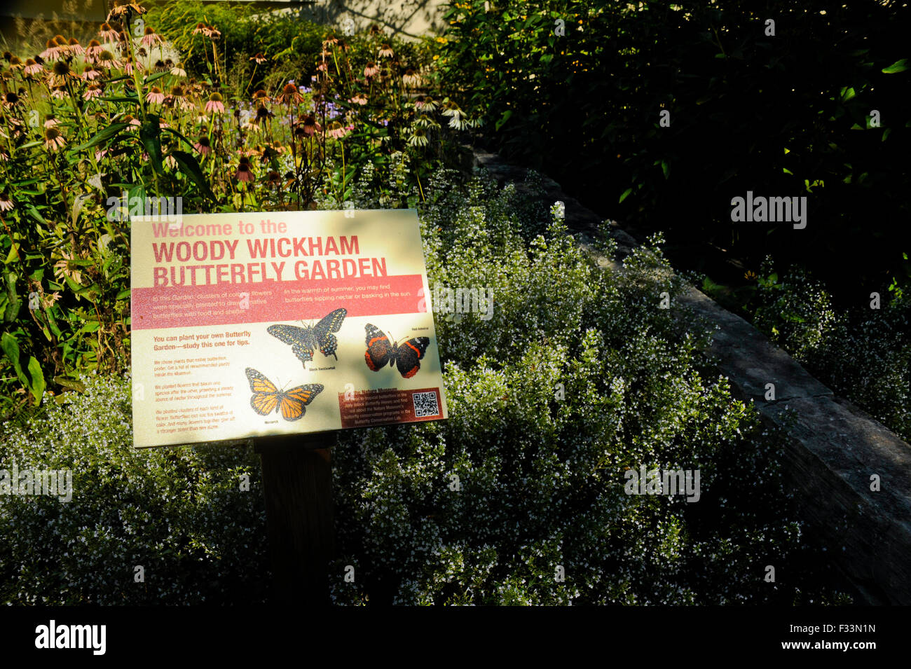 Peggy Notebaert Nature Museum, Chicago, Illinois Stock Photo - Alamy
