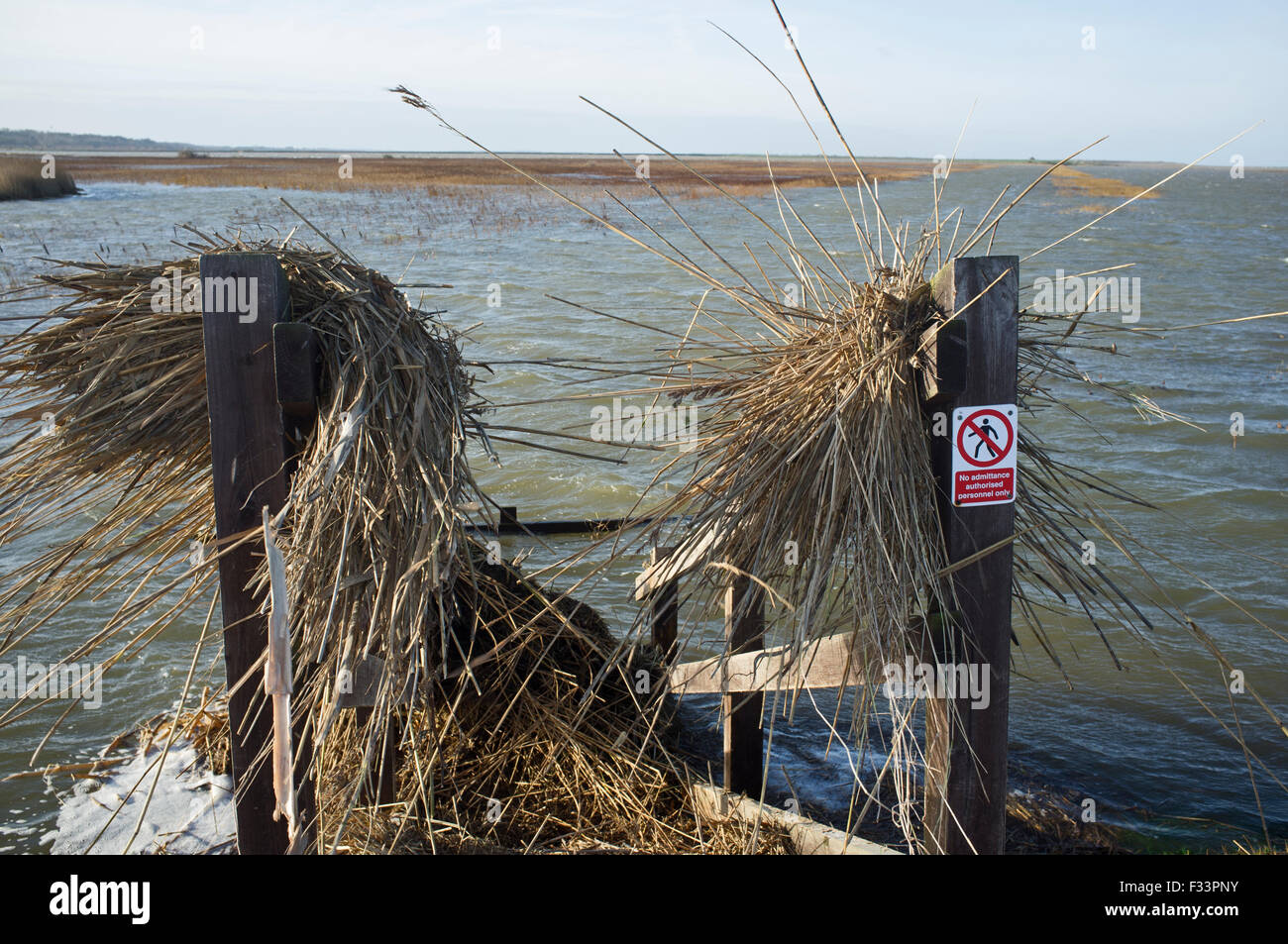 Cley Marshes flooded after storm surge of night of 5 December 2013 ...
