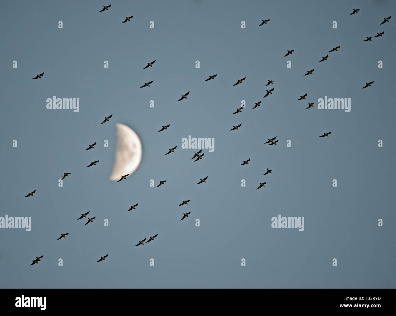 Flying by the moon hi-res stock photography and images - Alamy