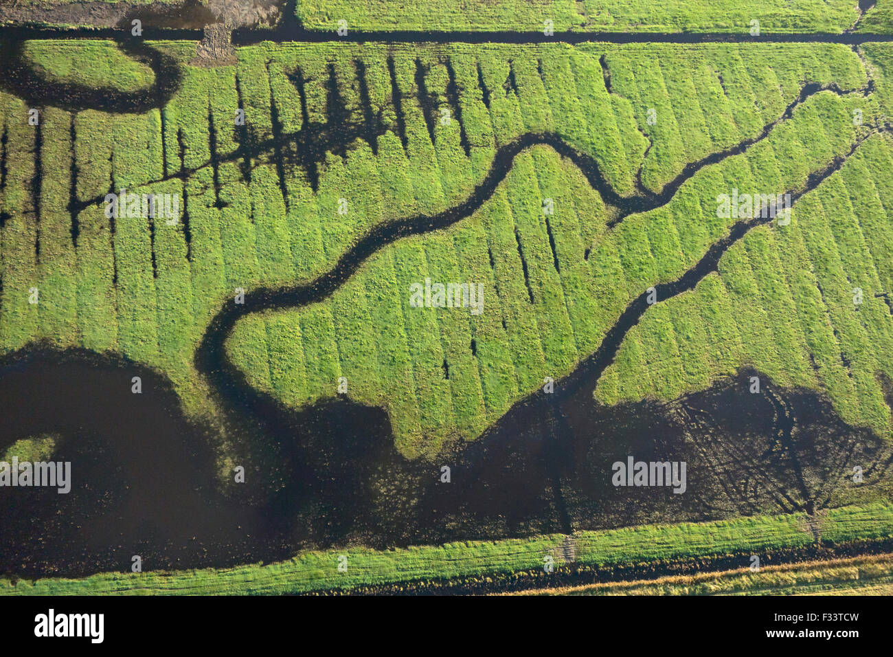 Aerial view of grazing marsh at Cley NWT Reserve North Norfolk winter ...