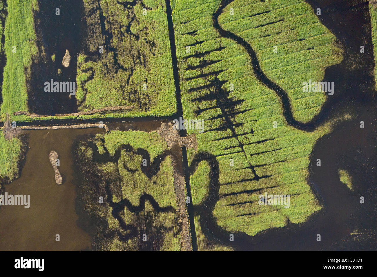 Coastal grazing marsh hi-res stock photography and images - Alamy