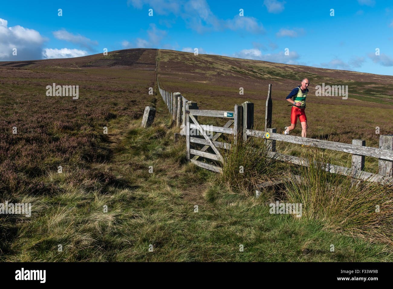 Fell Runner in the Cheviots Stock Photo - Alamy