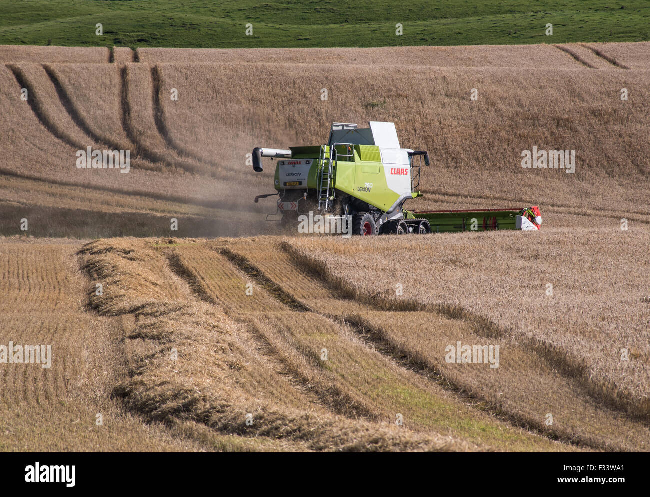 Northumberland Farming Stock Photos & Northumberland Farming Stock ...
