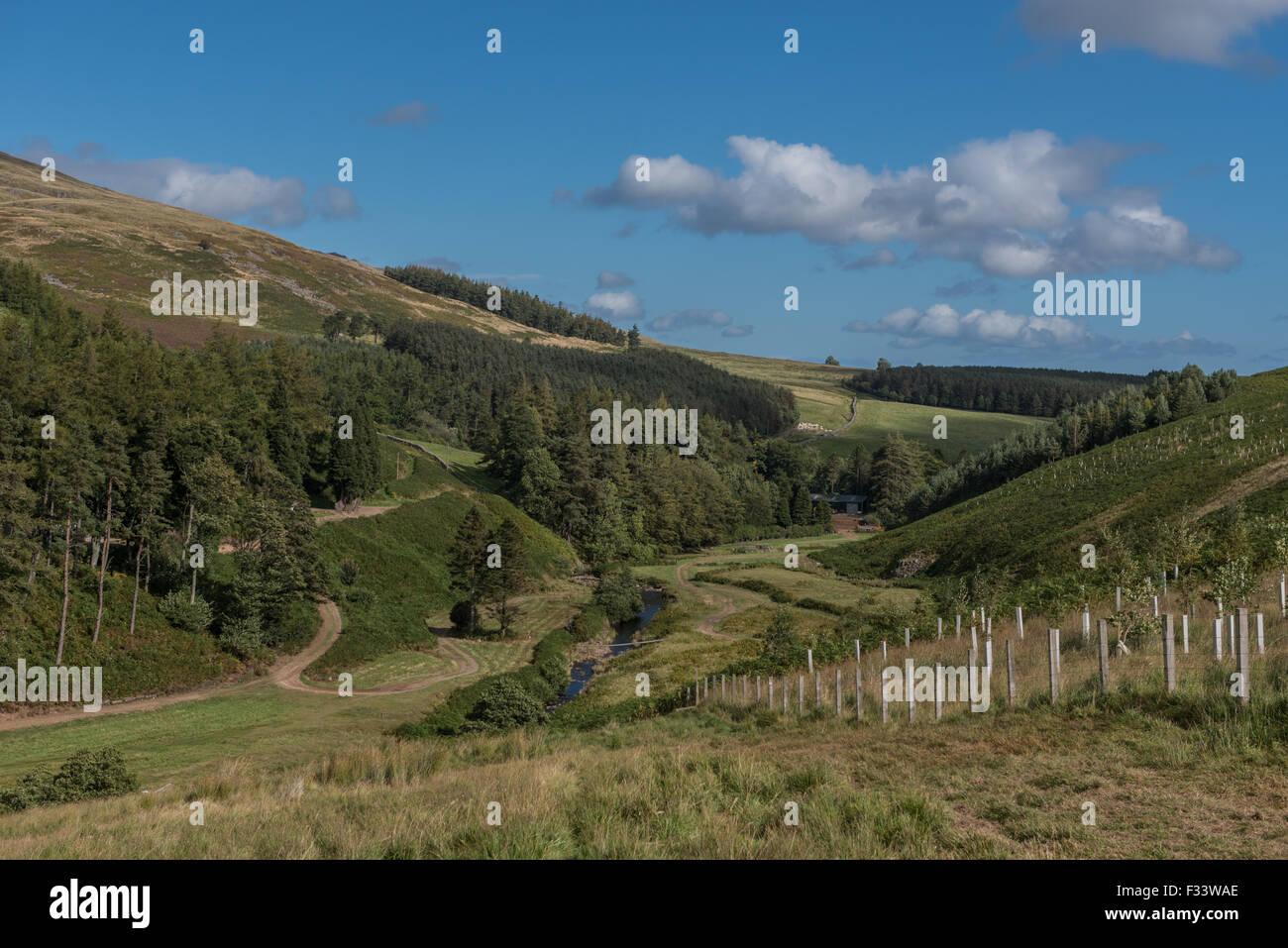 The Breamish valley at Linhope in Northumberland Stock Photo - Alamy