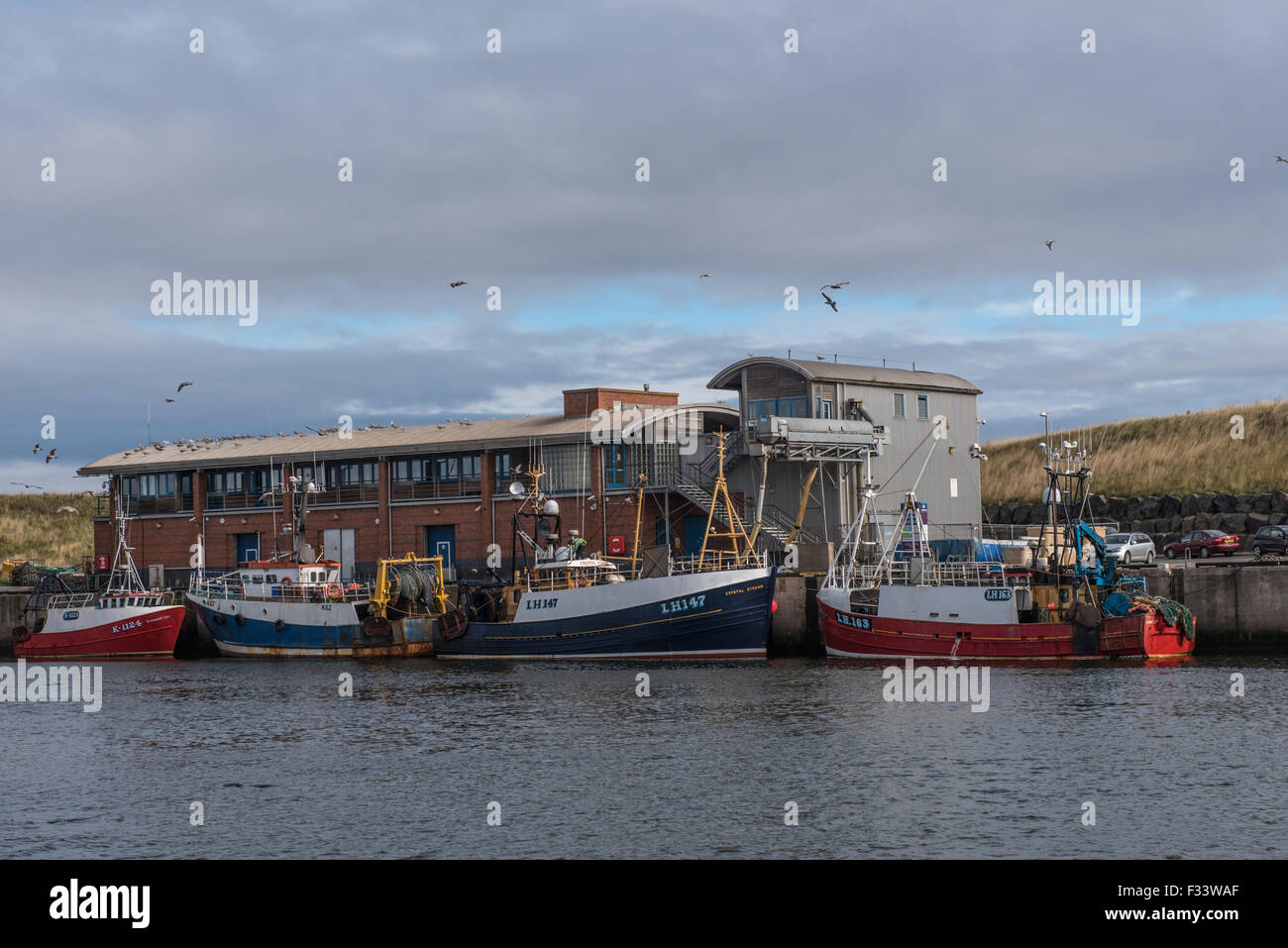 Eyemouth fishing boats hi-res stock photography and images - Alamy