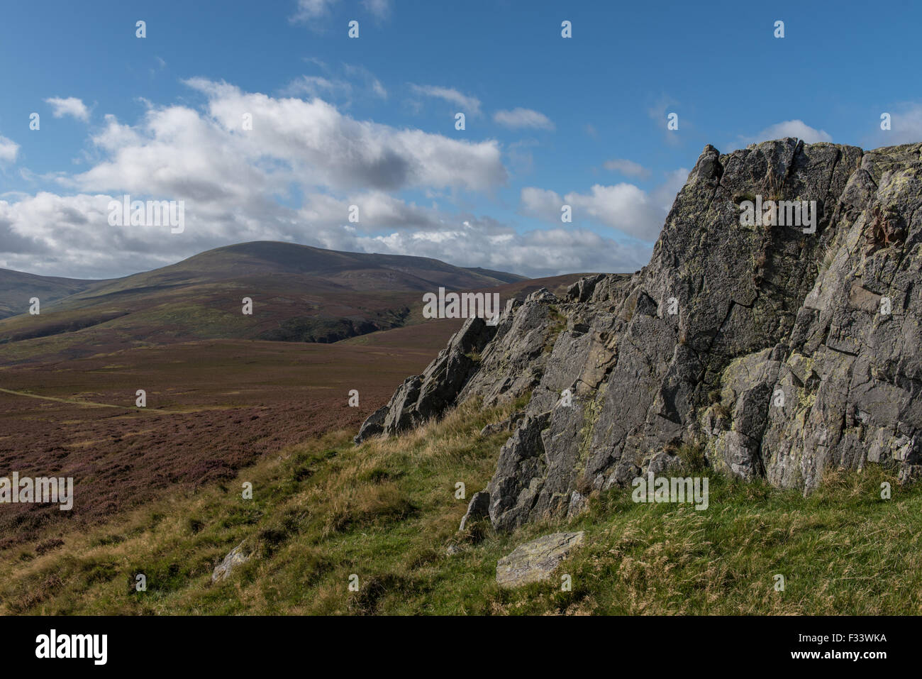 Cheviot hill northumberland hi-res stock photography and images - Alamy