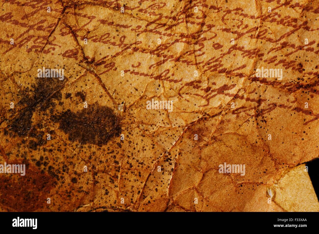 Vintage aged old paper Stock Photo - Alamy