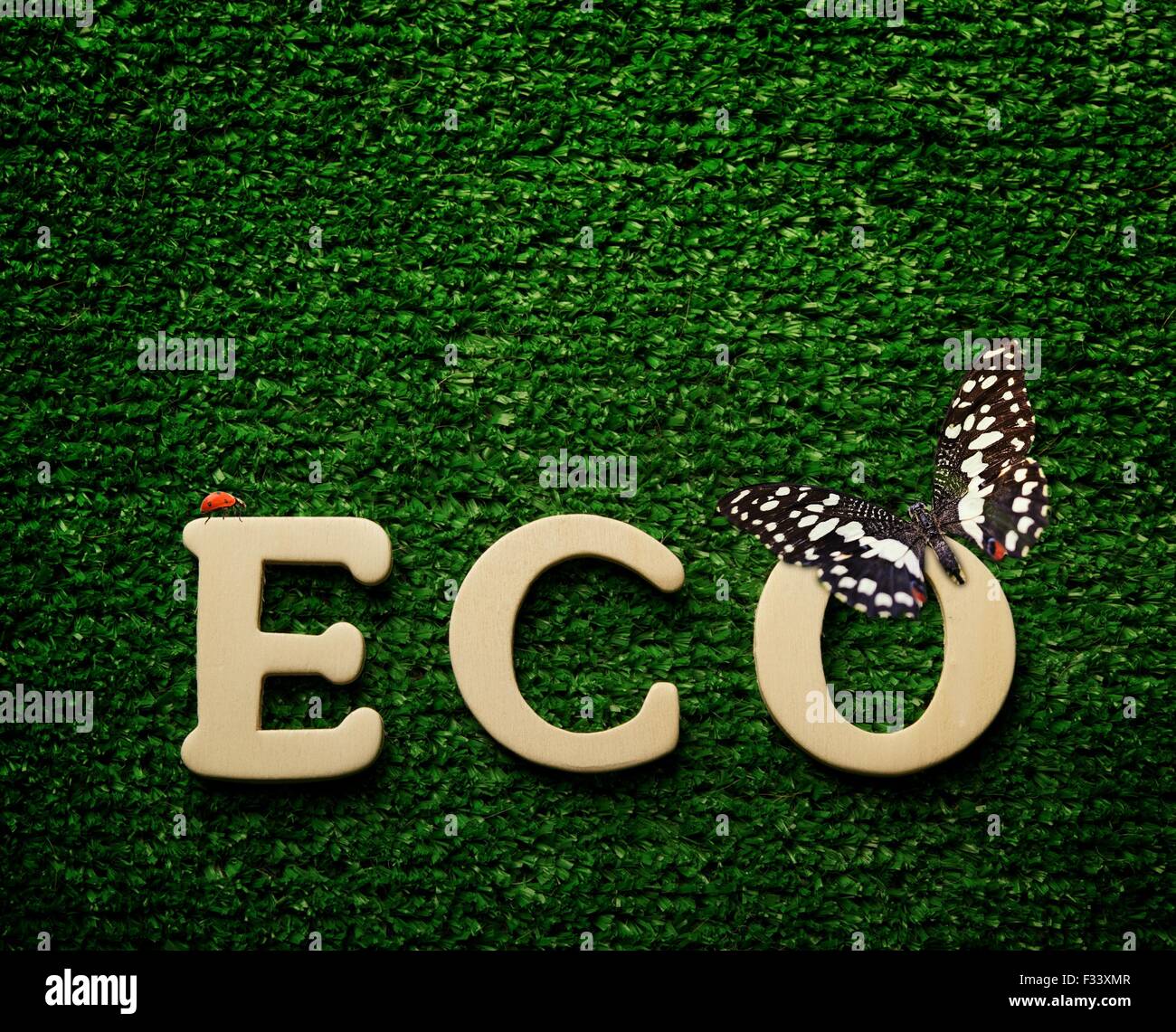 The word eco written on green background Stock Photo - Alamy