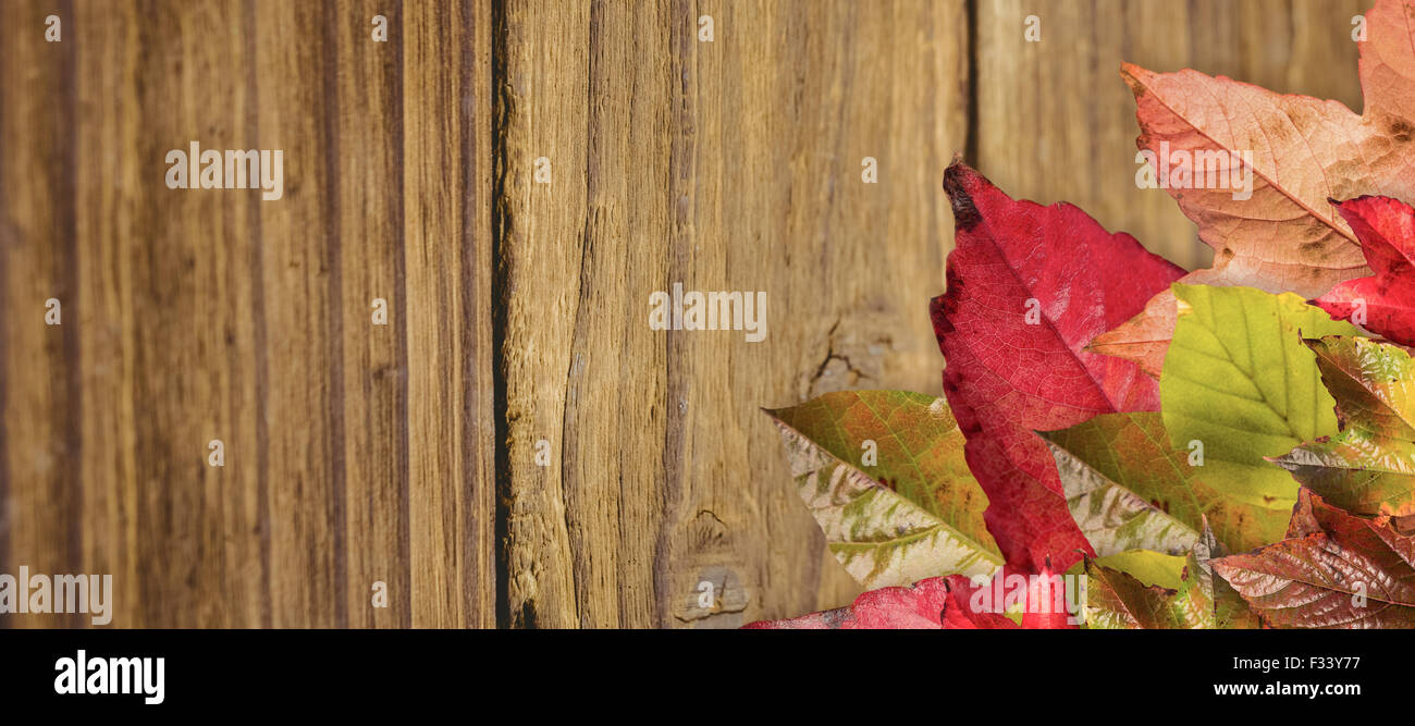 Composite image of autumn leaves pattern Stock Photo - Alamy