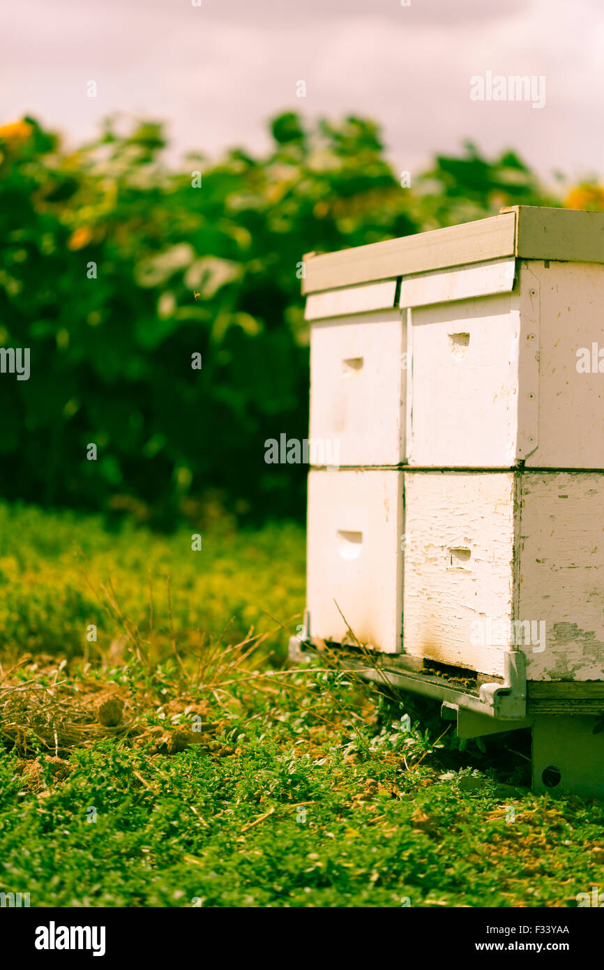 Beehive hive hi-res stock photography and images - Alamy