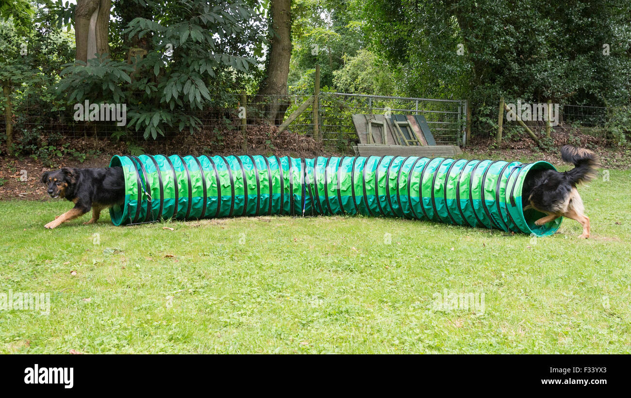 Rigid tunnel hi-res stock photography and images - Alamy