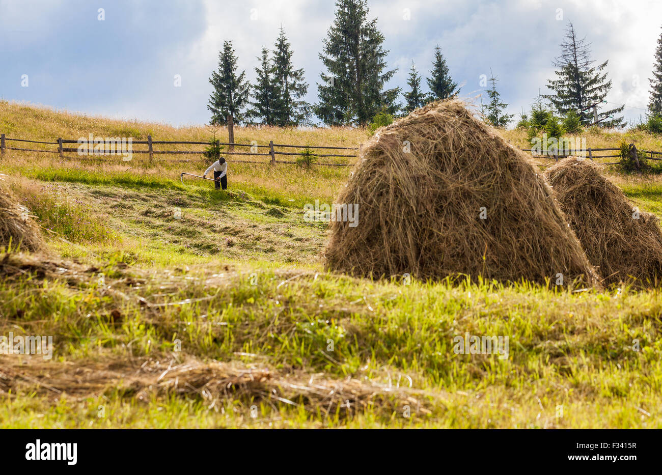 rural landscape, sheaves of hay in the Carpathians Stock Photo - Alamy