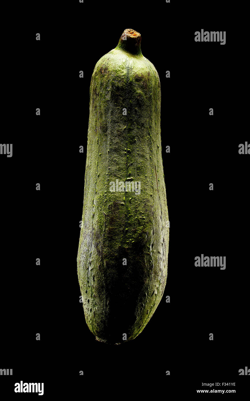 isolated flesh Loofah on pure black background Stock Photo - Alamy