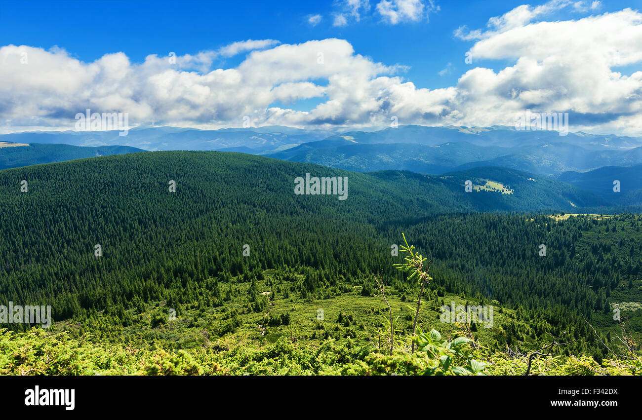 mountain Goverla summer nature landscape mountains Carpathians Ukraine ...