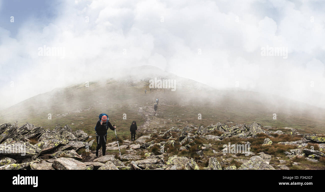 Tourist climb to the top of Hoverla in Carpathians Stock Photo - Alamy
