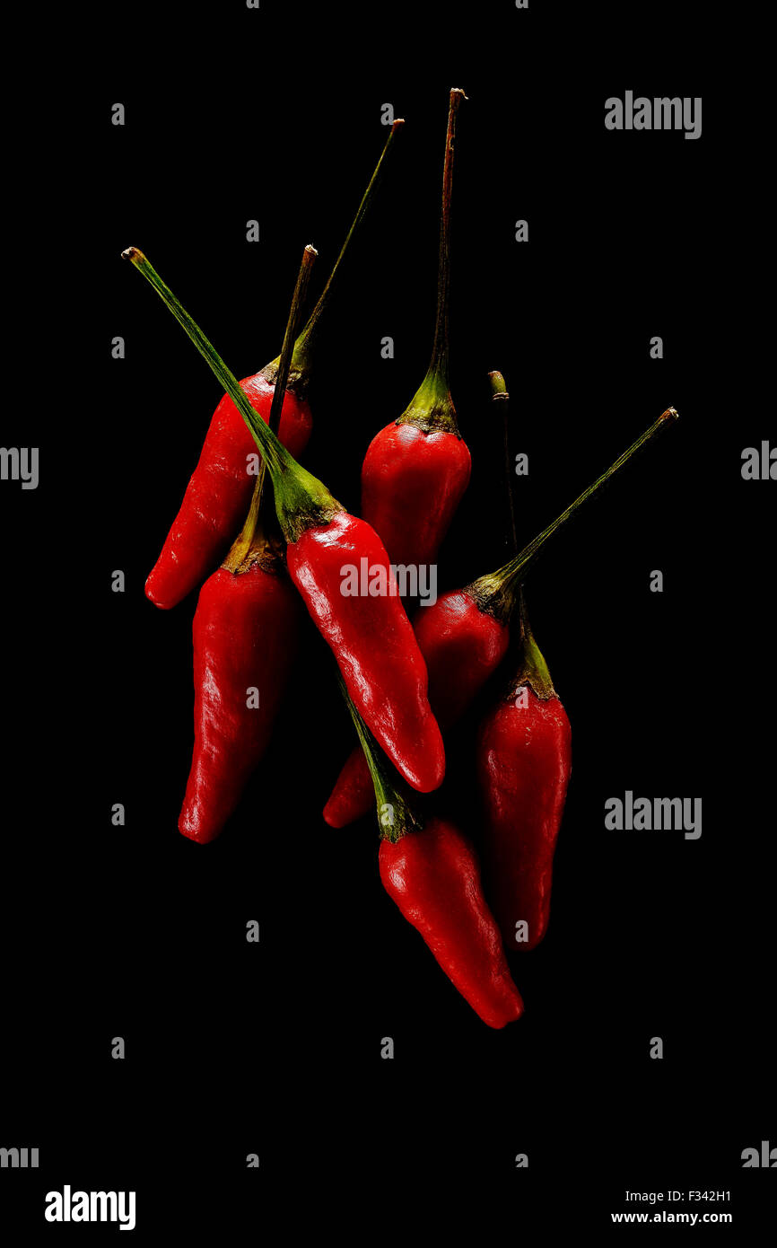 isolated flesh Red Hot Chilli on pure black background Stock Photo - Alamy