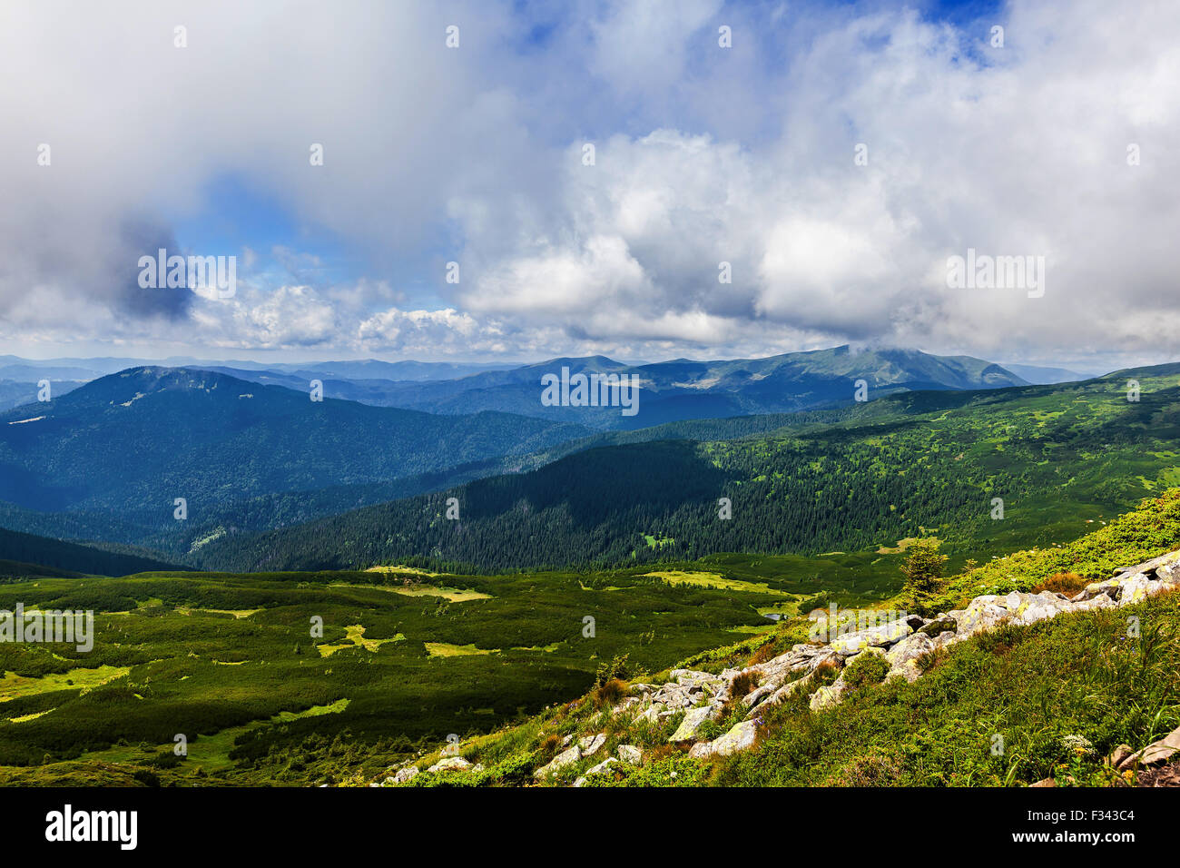 summer landscape of the Montenegrin ridge in Carpathians Stock Photo ...