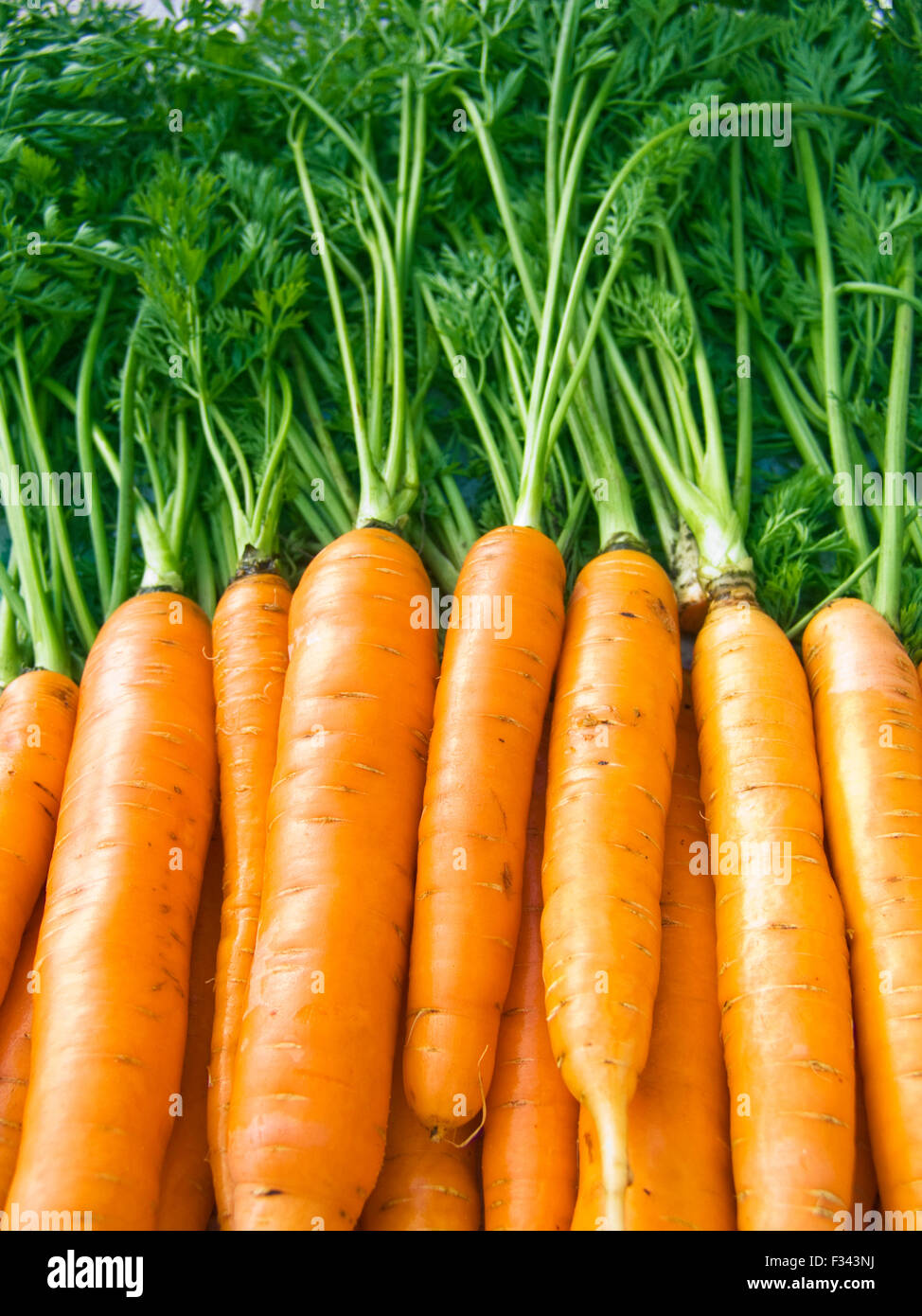 A pile of beautiful carrots on a counter Stock Photo - Alamy
