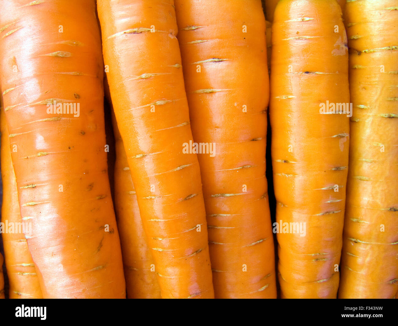 Agricultural background, a pile of beautiful carrots Stock Photo - Alamy