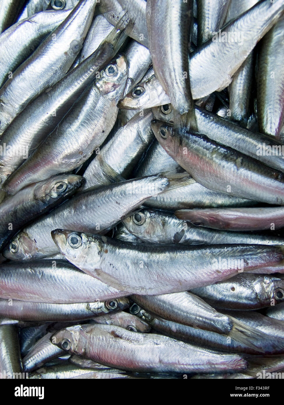 The beautiful small fishes on a counter Stock Photo - Alamy