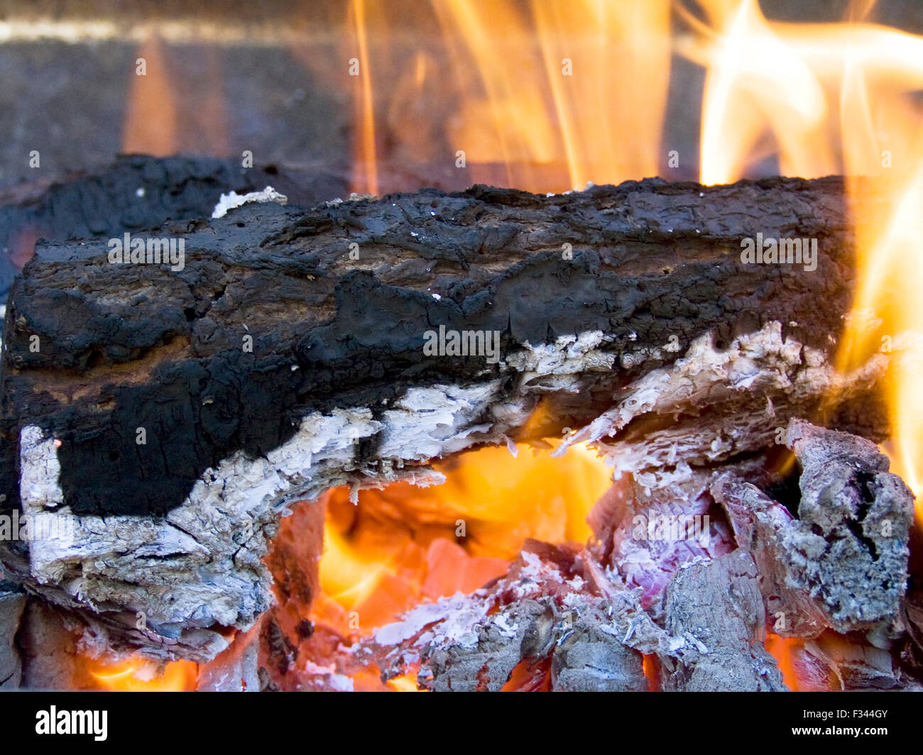 Log preparation hi-res stock photography and images - Alamy