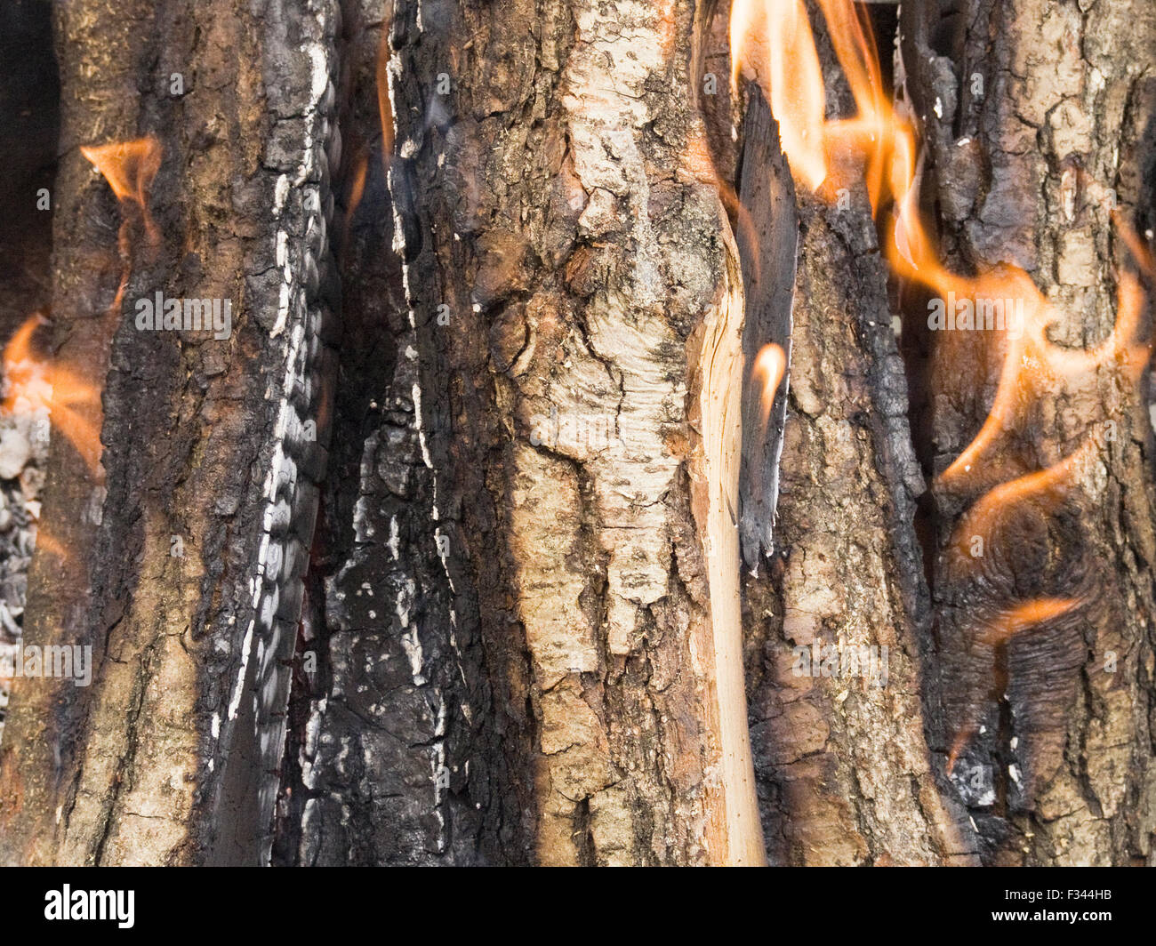 The firewood burning for cooking grill or barbecue Stock Photo - Alamy