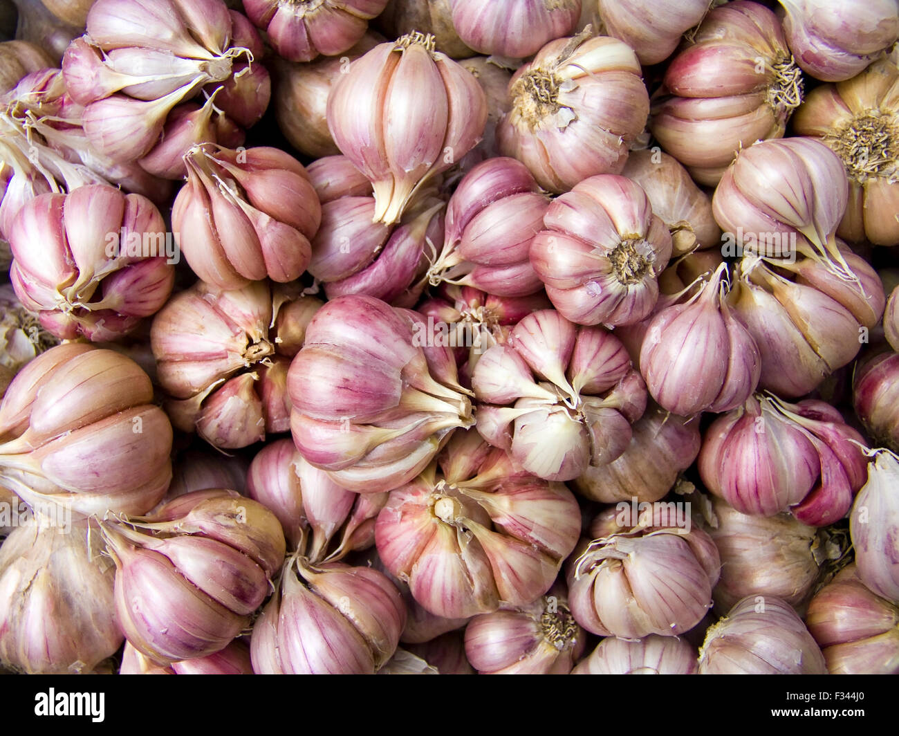 Agricultural background, a pile of beautiful garlic Stock Photo - Alamy