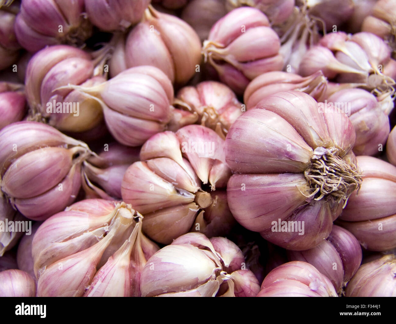 Agricultural background, a pile of beautiful garlic Stock Photo - Alamy