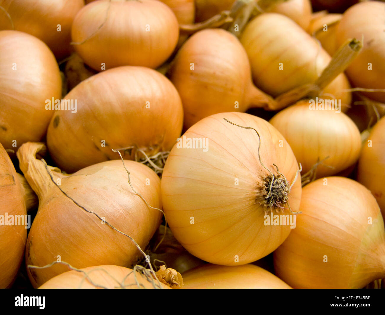 A pile of beautiful bulb onions on a counter Stock Photo - Alamy