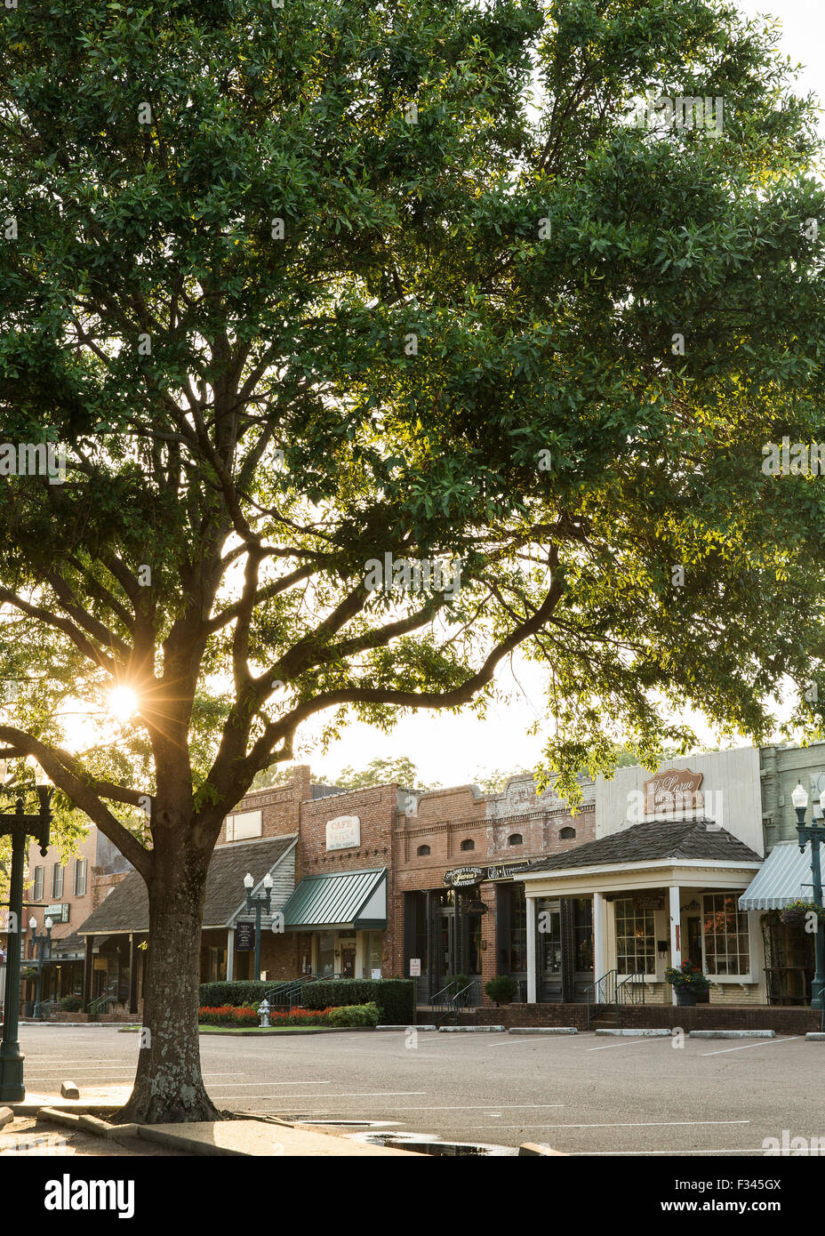 Collierville tennessee hi-res stock photography and images - Alamy