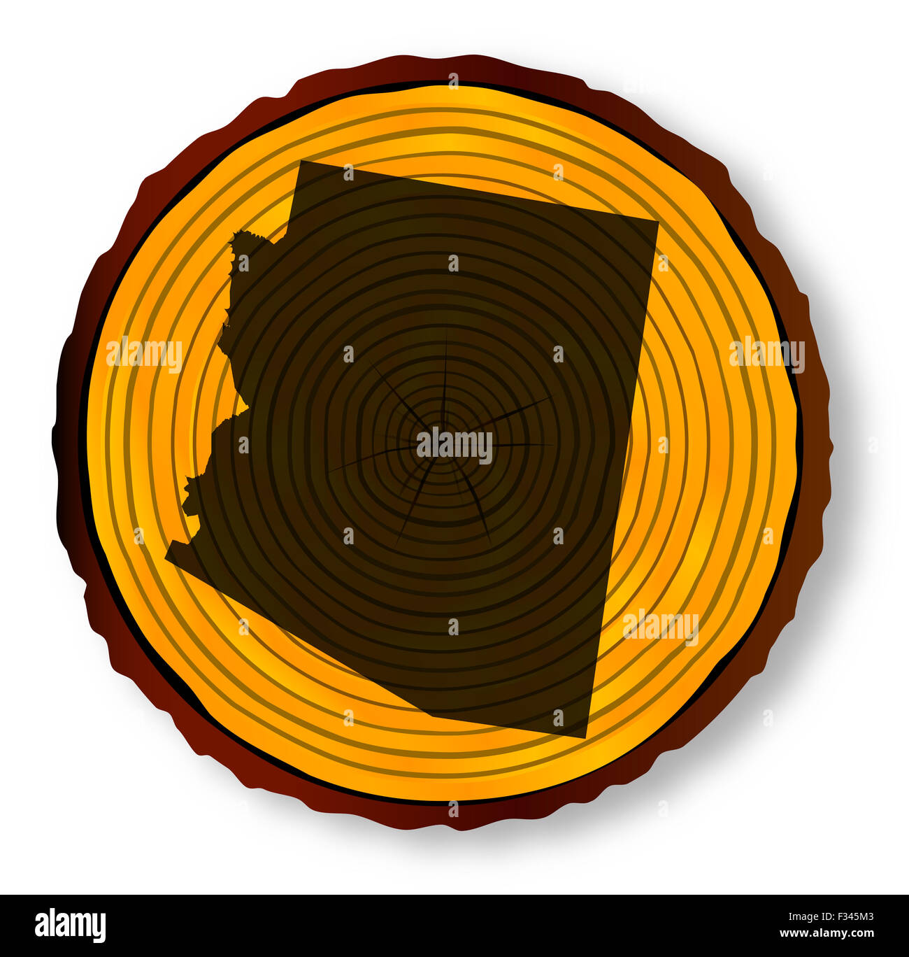 West Arizona. on a timber end section over a white background Stock ...