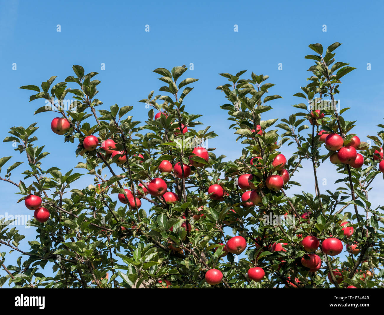 September landscape uk hi-res stock photography and images - Alamy