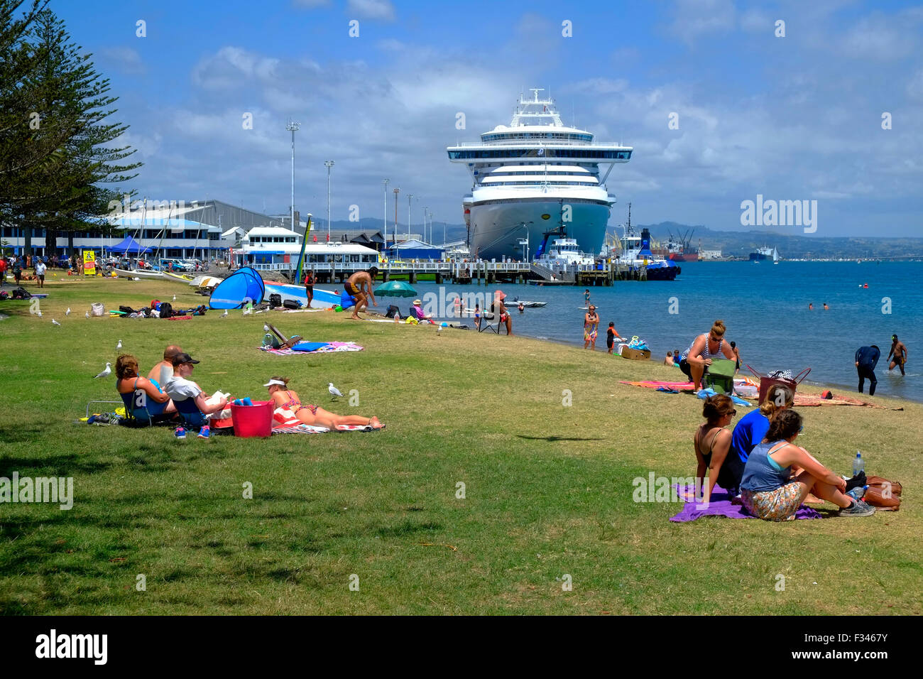 Princess bay new zealand hi-res stock photography and images - Alamy