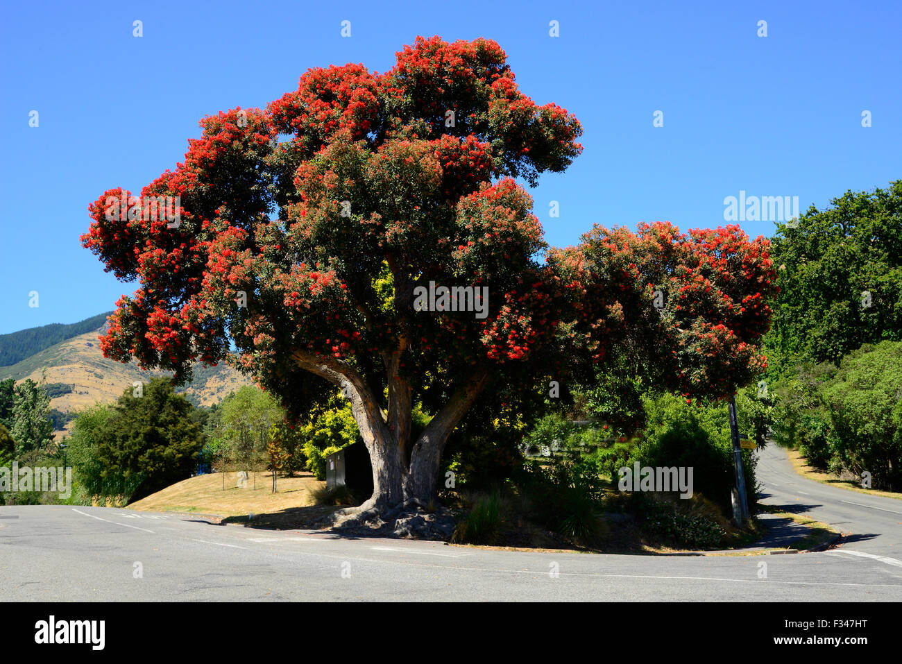 Agricultural science new zealand hi-res stock photography and images ...