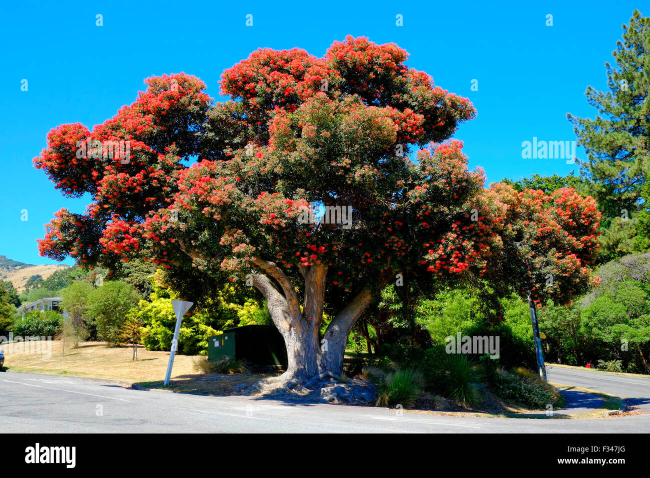 Agricultural science new zealand hi-res stock photography and images ...