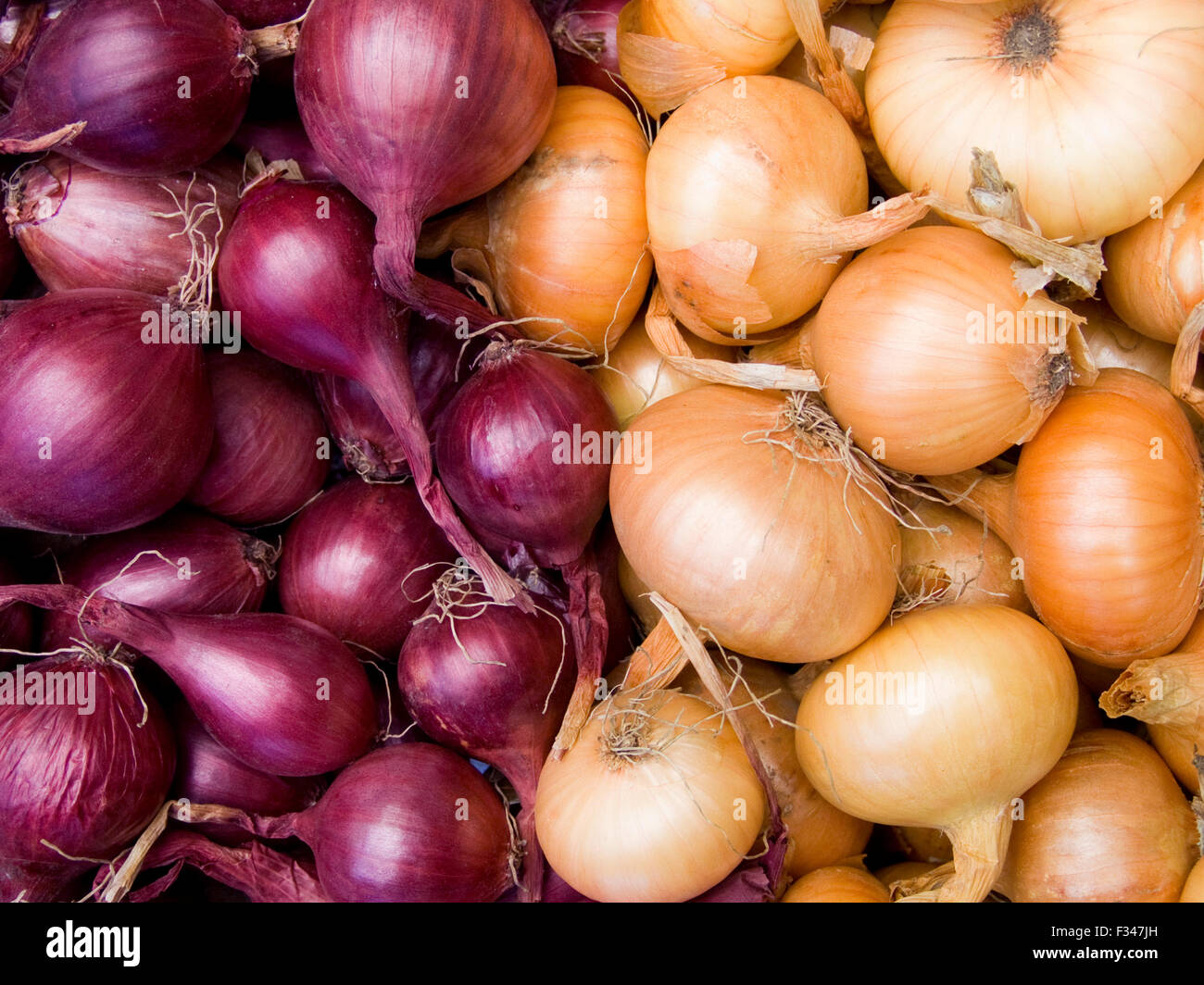 Agricultural background, a pile of beautiful bulb onions Stock Photo ...