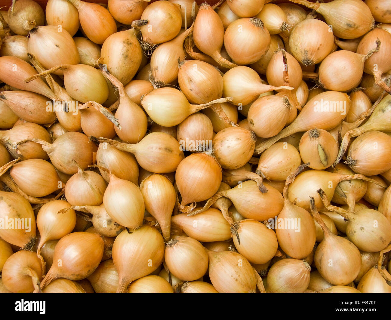 Agricultural background, a pile of beautiful bulb onions Stock Photo ...
