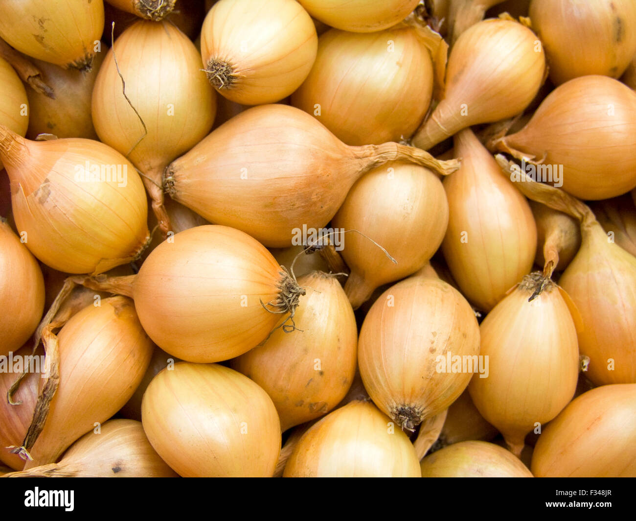 Agricultural background, a pile of beautiful bulb onions Stock Photo ...