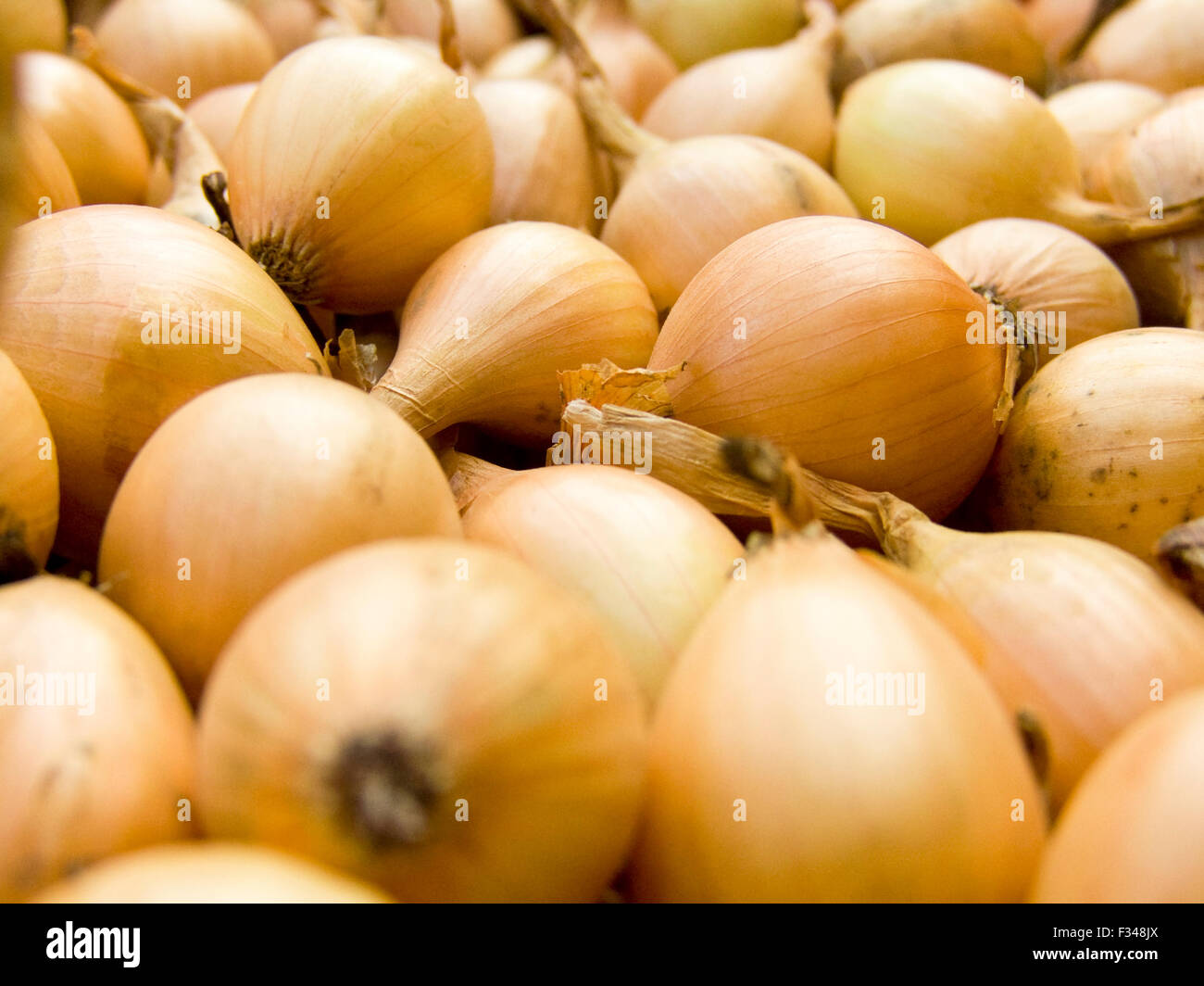 A pile of beautiful bulb onions on a counter Stock Photo - Alamy