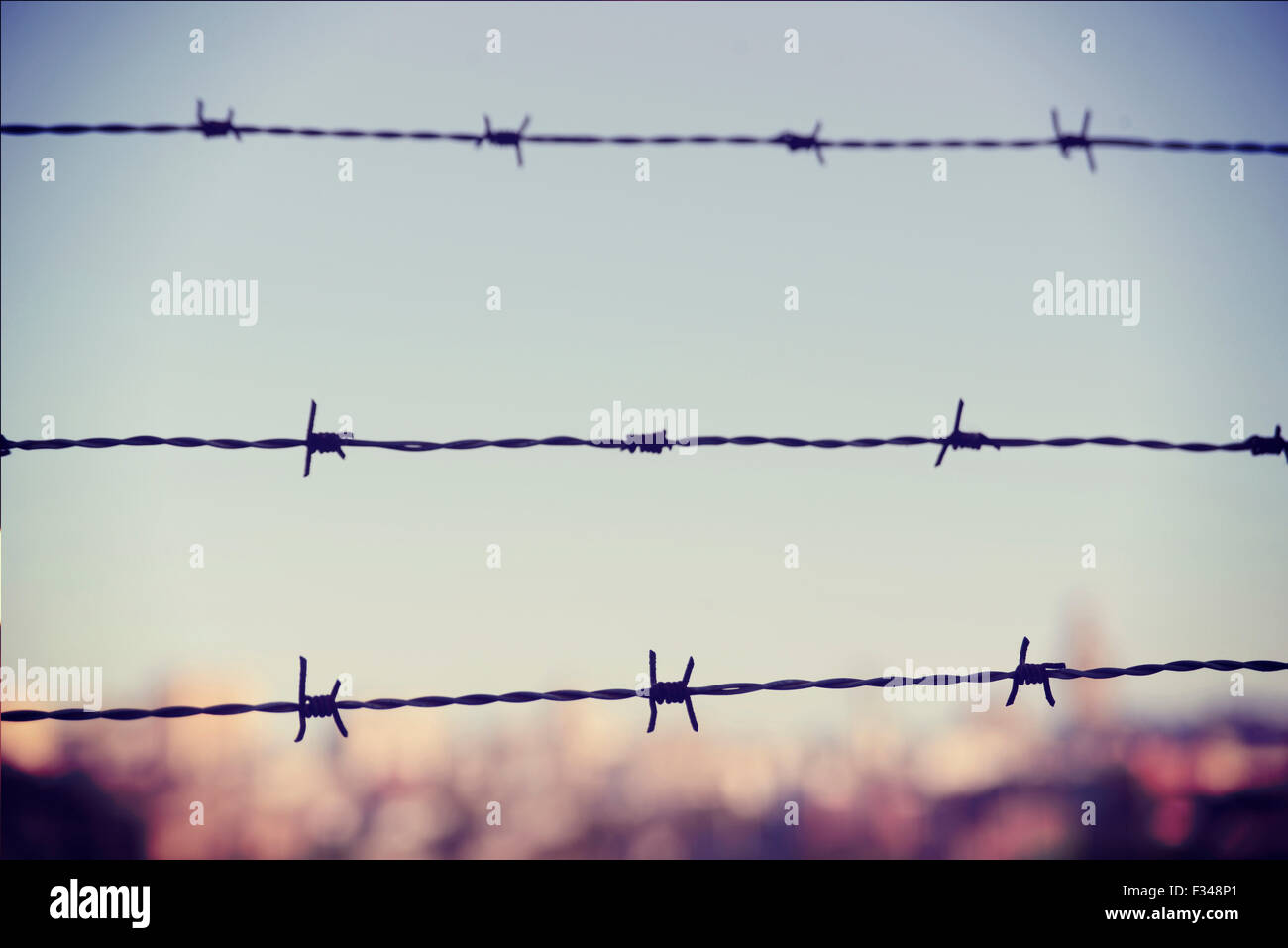 Freedom concept: barbed wire iron fence closeup with blur city in the ...
