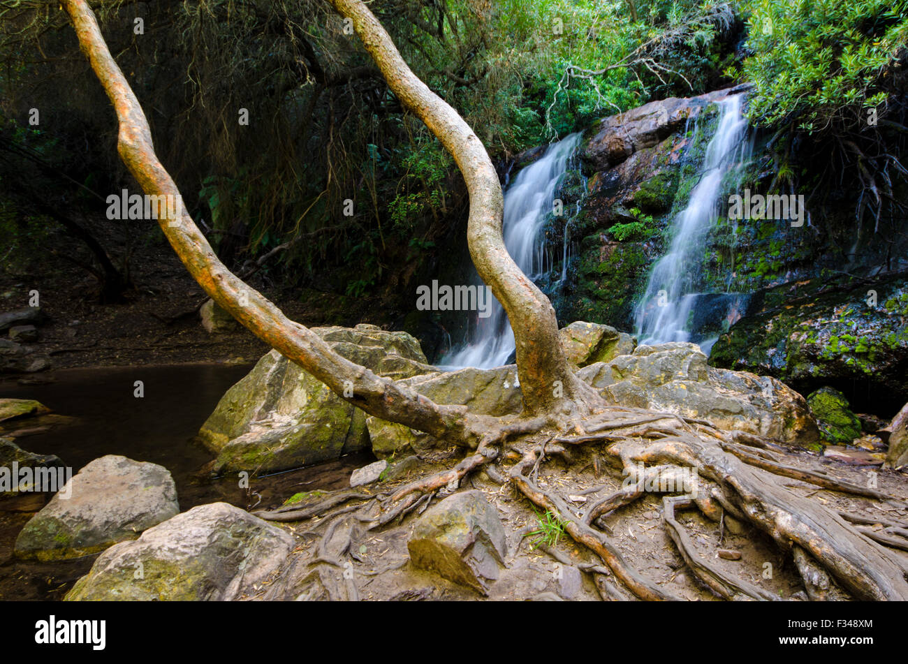 Twin falls on the Waterfall Holiday farm near Porterville, South Africa ...