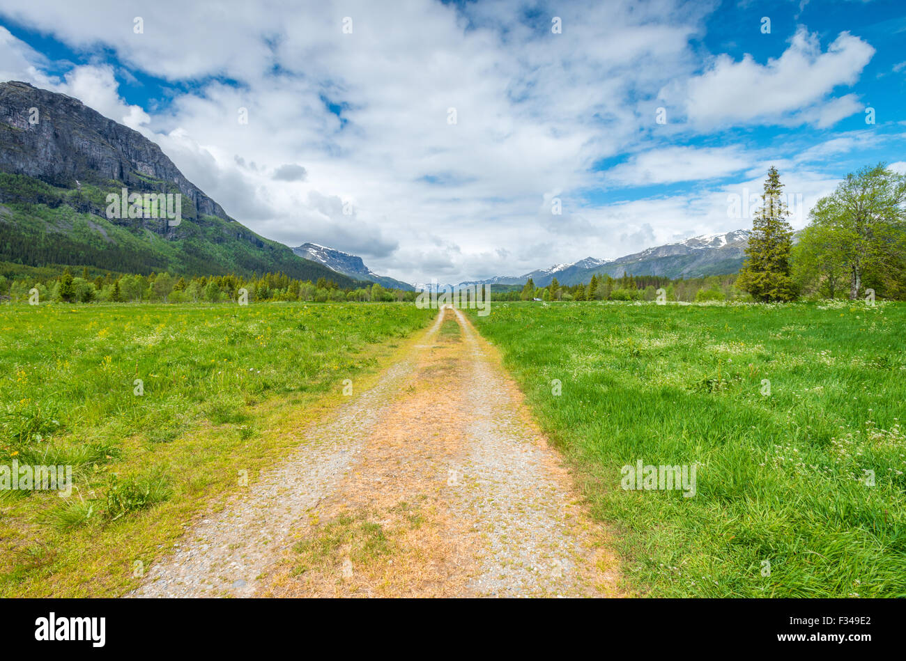 Endless road to the Mountains Stock Photo - Alamy